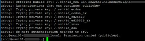Esxi 서버에 로그인을 시도하면 No Supported Authentication Methods Available