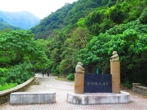景點推薦 貓咪太太與樹懶先生 台東民宿
