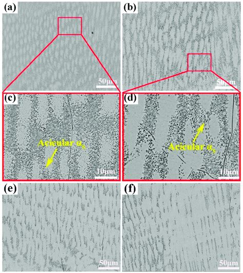 Microstructures Of Annealed Samples At Different Temperatures For 05
