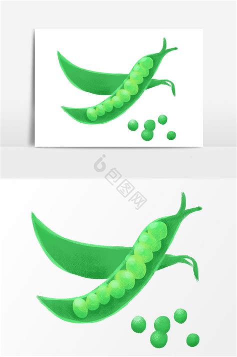 大豆手绘图片 大豆手绘素材免费下载 包图网