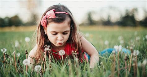 민들레 꽃을 부는 귀여운 사랑스러운 백인 소녀 초원의 풀밭에 누워있는 아이 야외 활동 여름 계절 어린이 활동 밖에서 즐거운 시간을 보내는 아이 행복한 어린 시절 생활