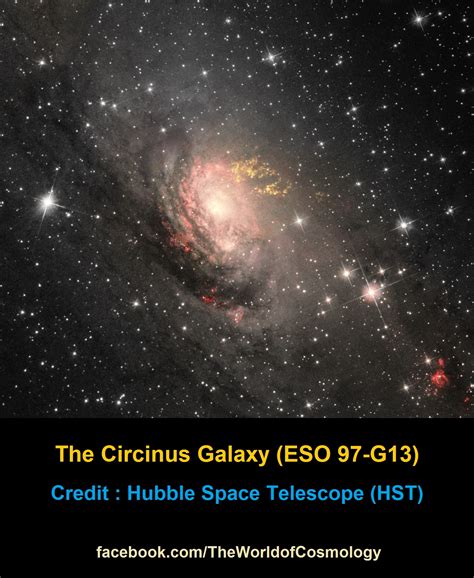 The Circinus Galaxy Eso 97 G13 The World Of Cosmology