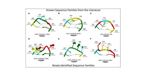 Identification And Characterization Of New RNA Tetraloop Sequence Families Biochemistry