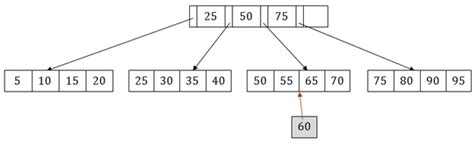 Dbms B Tree
