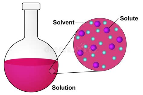 Solutions Solubility Homogeneous Mixture Stock Illustration