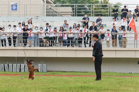 六一前夕 萌娃探访武汉公安汪汪队看警汪是怎样炼成的 腾讯新闻