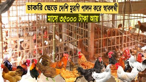 দেশি মুরগির খামার করে ৩৫০০০ টাকা আয় মাসে দেশি মুরগি পালন পদ্ধতি ও আয় ব্যয় Chicken Farm