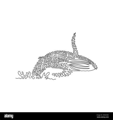 Single Swirl Continuous Line Drawing Of Enormous Whale Abstract Art Continuous Line Drawing