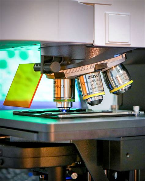 Degenerative Eye Disease Glaucoma