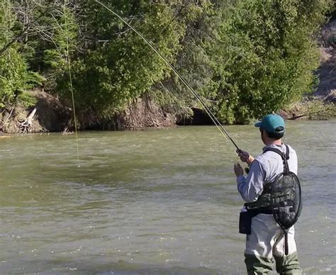How To Catch Trout Learn From A Professional River Guide