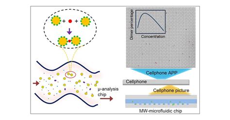 Cellphone Enabled Microwell Based Microbead Aggregation Assay For Portable Biomarker Detection