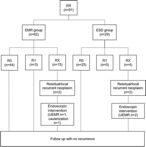 Flowchart Of The Clinical Course Endoscopic Mucosal Resection Emr Download Scientific
