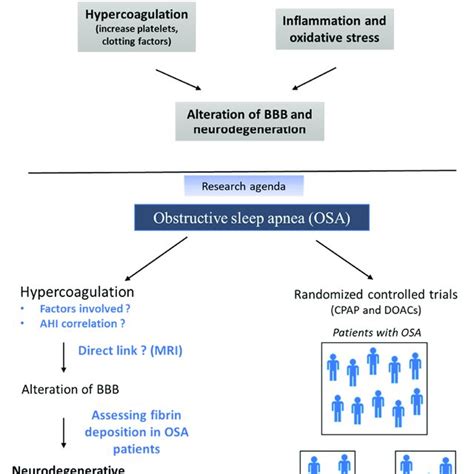 Key Points And Future Directions Ahi Apnea Hypopnea Index Bbb