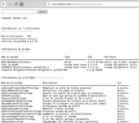 Tomcat Exploit Variant Host Manager Certilience