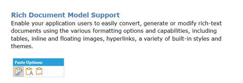 Wpf Richtextbox Paste Options Telerik Ui For Wpf