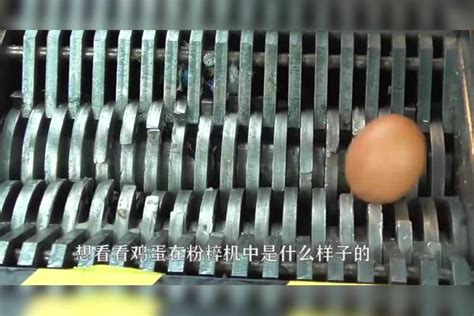 老外将150个鸡蛋排成一堆汽车快速驶过场面真是太美了 汽车 老外 场面