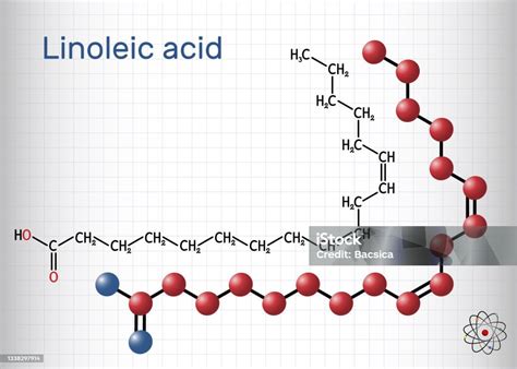 Asam Linoleat Molekul La Omega6 Asam Lemak Tak Jenuh Ganda Rumus Kimia Struktural Dan Model