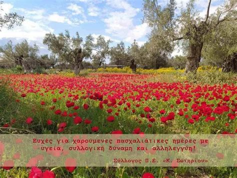 Συλλαλητήριο 16 Φλεβάρη 2019 Σύλλογος Εκπαιδευτικών Π Ε Κώστας ΣωτηρίουΣύλλογος