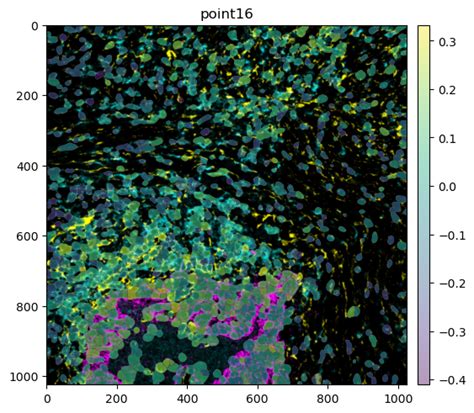 Technology Focus Mibi Tof — Spatialdata