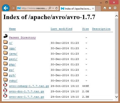 apache avro generic data serialization system ashoka bhat shared book