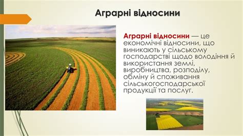 Сільське господарство світу