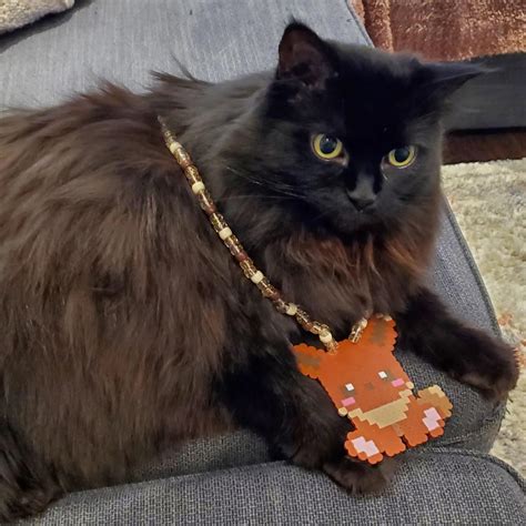Zoe Wearing My Eevee Necklace R Kandi