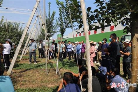 甘肃宁县：以全域理念振科普之翼活动培训视频