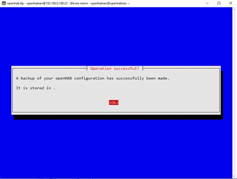 openhabian integrated backup not working runtime openhab community