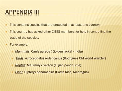 Ppt Cites Powerpoint Presentation Free Download Id 2146694