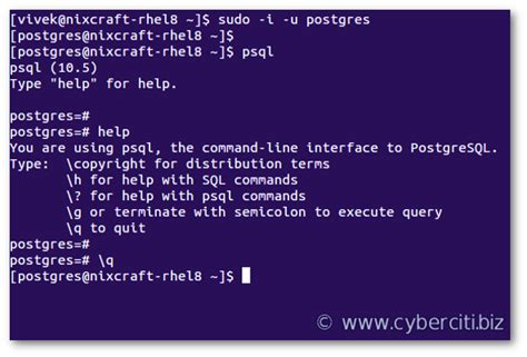 How To Install And Setup Postgresql On Rhel 8 Nixcraft Wiredgorilla