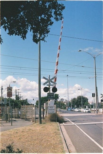 Download Rsa Questions And Answers Victoria Free Pdf Guide