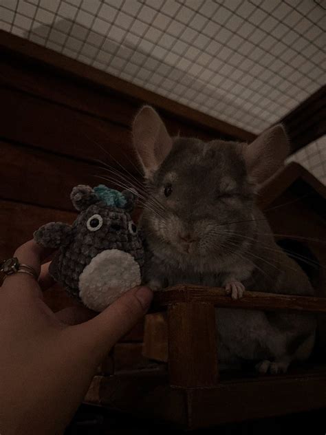 Cmiiu Photos And Videos From Onlyfans Honey Affair