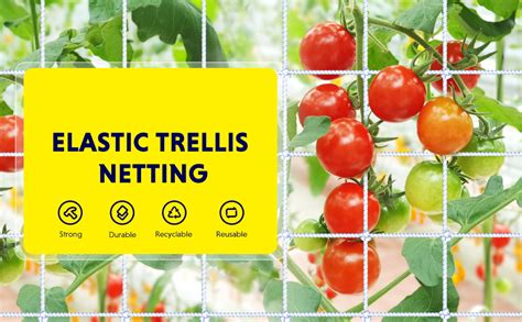 Simple Deluxe Elastic Trellis Netting For 4x4 Heavy Duty