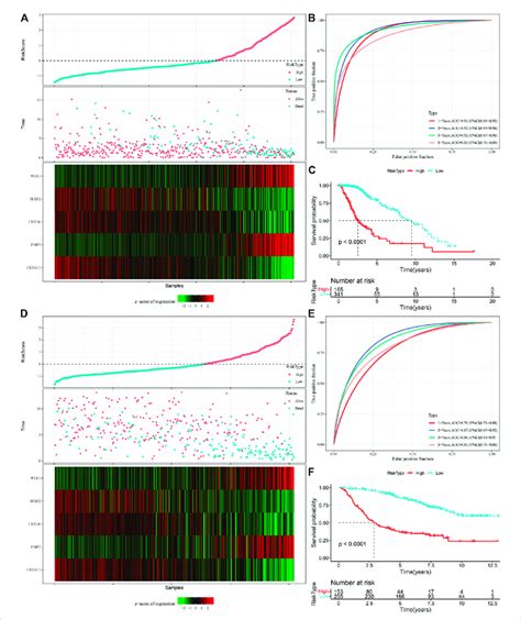 calculation of riskscore and determination of its robustness in two