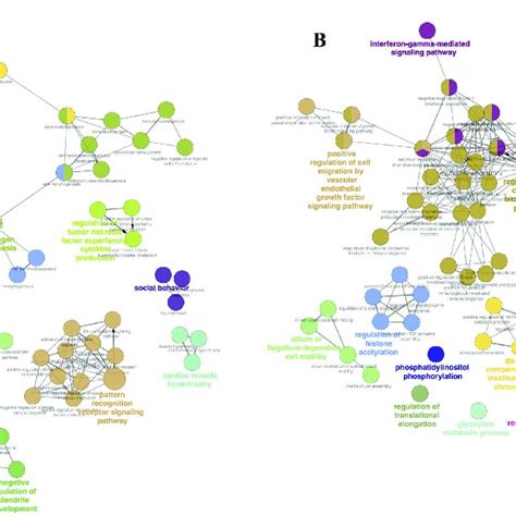 Visualization Of Overrepresented Go Terms Via Cytoscape Platform Based Download Scientific