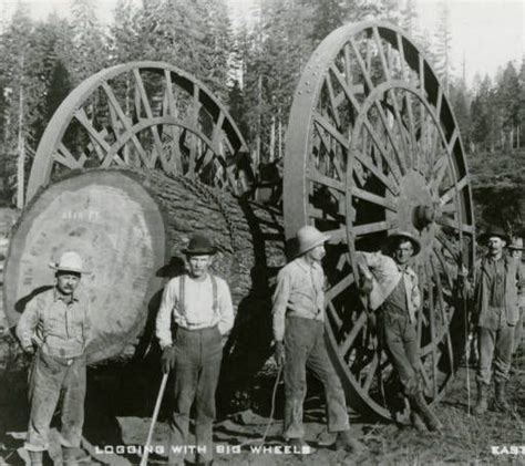 200 Best Old Logging Photos Images On Pinterest Logging Equipment Lumberjacks And Trucks