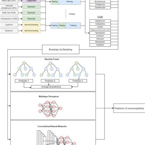 Data Processing Includes Scaling Categorization And One Hot Encoding