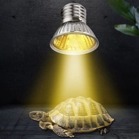Uva Uvb Reptile Bulb V Aqua