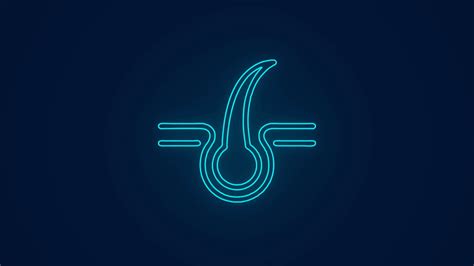 Hair Strand In Scalp Of Head Skin Animation Stock Motion Graphics Sbv