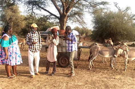 integrating satellite data with local knowledge for community