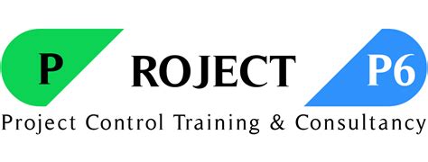 PROJECT P6 PROJECT CONTROL TRAINING CONSULTANCY