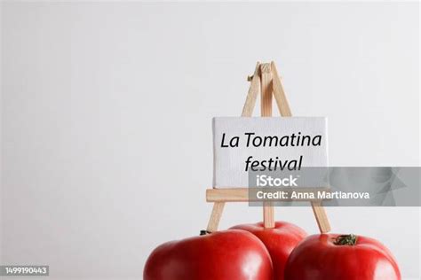 라 토마티나 축제는 하얀 바탕에 빨간 토마토와 함께 화이트 보드에 쓰여 있다 Bunyol 개념의 스페인 마을에서 유명한 토마토 전투 8월에 대한 스톡 사진 및 기타 이미지