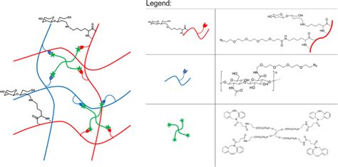Schematic Structure Of Hybrid Hydrogel Download Scientific Diagram