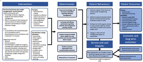 Logic Model Depicting The Rationale Underpinning The Exercise And Download Scientific Diagram