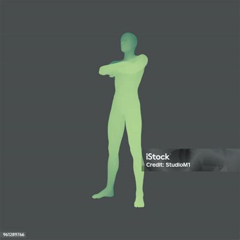 남자는 그의 발에 서 있다 그의 가슴 위에 그의 팔을 교차 하는 남자 3d 인체 모델입니다 디자인 요소입니다 벡터 일러스트입니다 3차원 형태에 대한 스톡 벡터 아트 및 기타