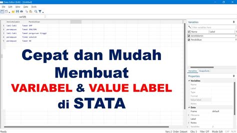 Membuat Variabel And Value Label Di Stata Youtube