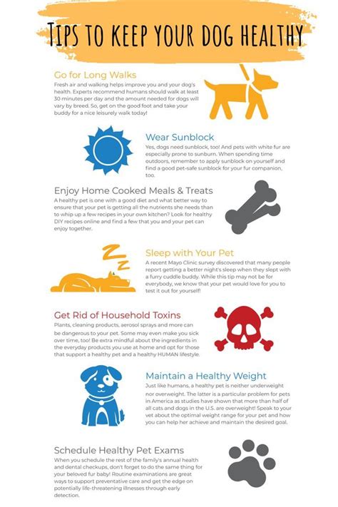 Tips To Keep Your Dog Healthy Dog Health Tips Dog Health Pet Care Chart