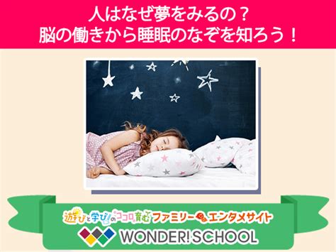 夢を見ることの意義とは？研究からわかった驚きの役割 ワイワイ車ちゃんねる