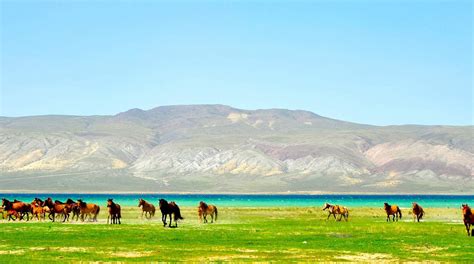 Увсад Хөрөнгө Увсад Хөрөнгө Оруулагчдын Чуулган 2019