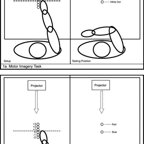 General Experimental Setup For Motor Imagery And Visual Imagery Tasks